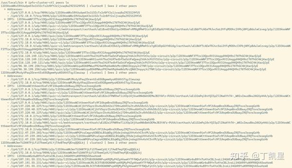 从零搭建起一个IPFS Cluster及测试集群 - 知乎