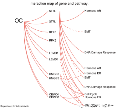 什么样的生信文章仨月就接收？带你看点肿瘤突变负荷 (TMB)不一样的分析法，“三步”完成8分+Frontiers！ - 知乎