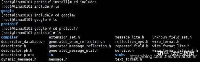 Protobuf入门：在linux下编译使用protobuf - 知乎