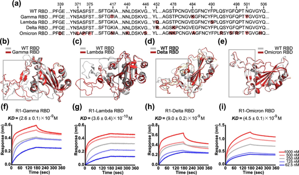 原理到应用：深度了解生物膜干涉技术 - 知乎
