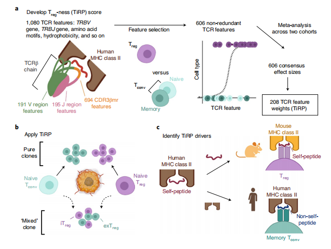 Nat Immu | 调节性T细胞的TCR序列特征决定其命运，可应用于肿瘤微环境改造 - 知乎