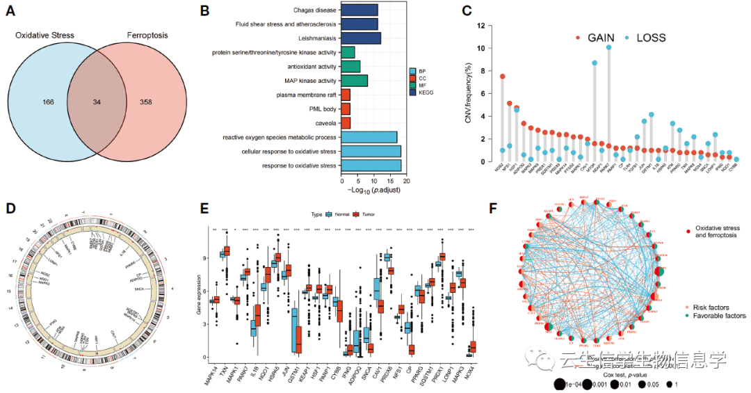 你不得不看的双热点分析思路！氧化应激+铁死亡强强联合，风险评分还可区分冷/热肿瘤，这样的8分+生信文章你想要吗？ - 知乎