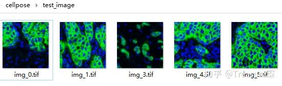 Cellpose 2.0——利用自己的数据训练模型 - 知乎
