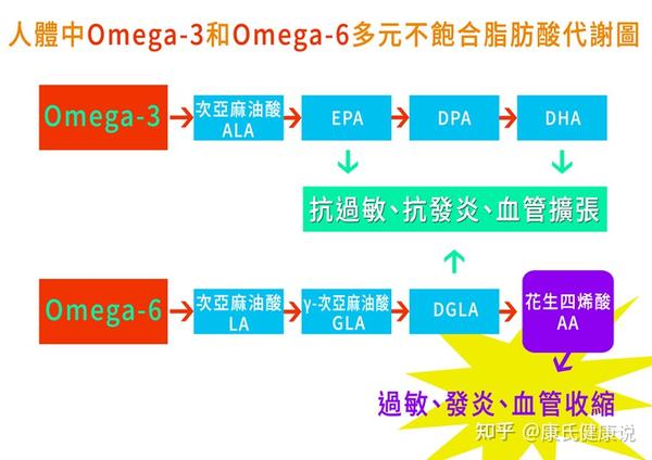Omega-6与Omega-3关系全解读，两者的区别有哪些？ - 知乎
