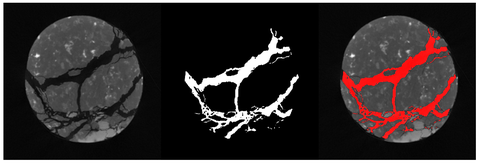 image J教程汇总？ - 知乎