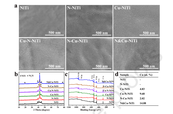 【科研快报】催化增强微电流效应Cu3N/Cu 镶嵌的镍钛表面用于选择性杀菌 - 知乎