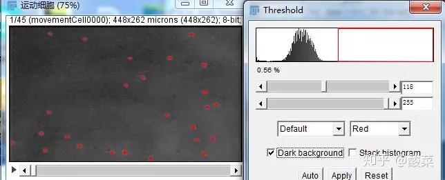 如何用ImageJ分析运动细胞？ - 知乎
