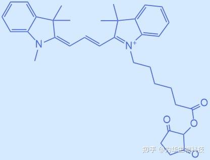 可用于标记生物分子CY3-NHS花菁染料CY3标记活性酯 - 知乎