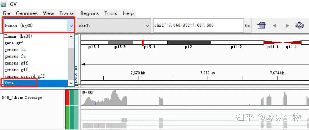欧易生物生物信息分析——IGV快速上手教程 - 知乎