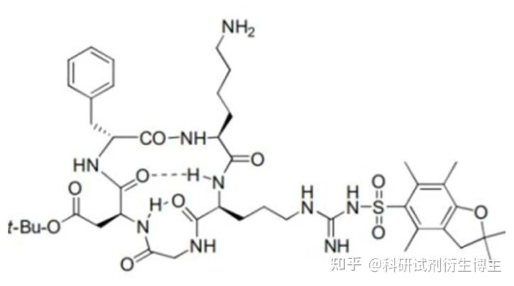 一种结构独特的肽类分子，226559-04-2，RGD侧链环肽，试剂实验室参数 - 知乎