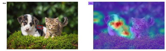 Visualizer！简化你的Vision Transformer可视化！ - 知乎