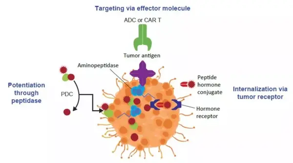认识了ADC,PDC又是什么？ - 知乎