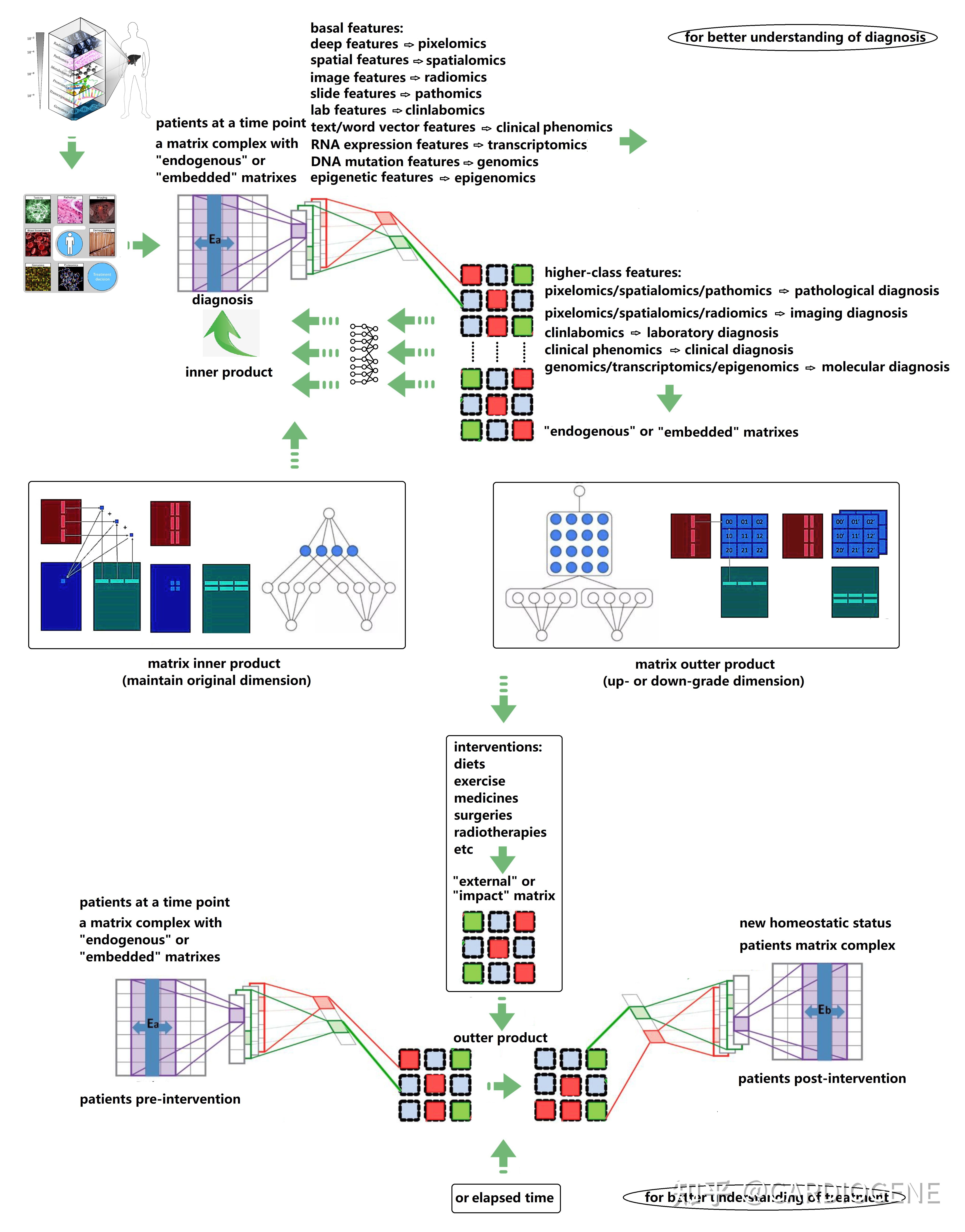 10.10.PATIENT MATRIX COMPLEX - 知乎