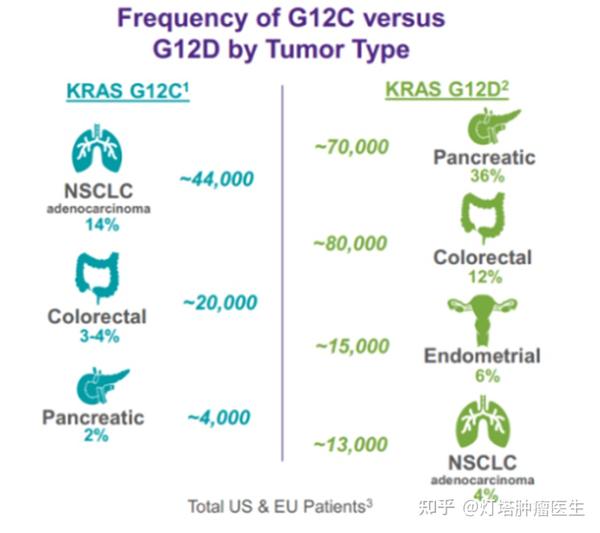 KRAS早已不是无药突变，两款靶向药上市解锁多种治疗方案 - 知乎