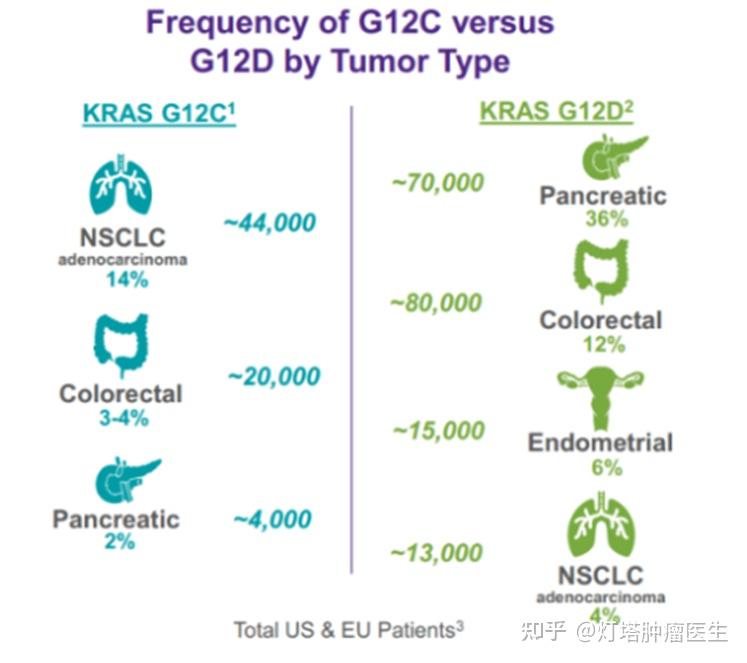 KRAS早已不是无药突变，两款靶向药上市解锁多种治疗方案 - 知乎