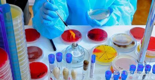 科普篇：如何理解微生物检测中的CFU？ - 知乎