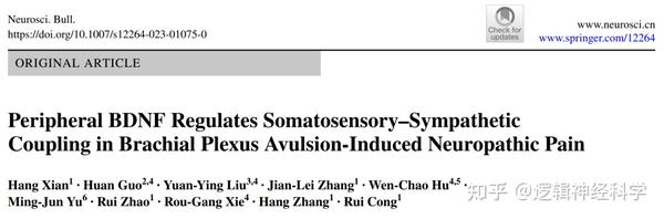 Neurosci Bull︱空军军医大学丛锐/张航/解柔刚揭示外周BDNF调控臂丛撕脱伤后疼痛机制 - 知乎