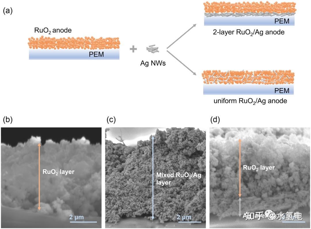 Small：Ag复合促进RuO2在PEMWE中的性能和耐久 - 知乎