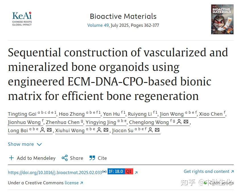 Bioact Mater用仿生基质水凝胶打造骨类器官，实现颅骨高效再生 - 知乎
