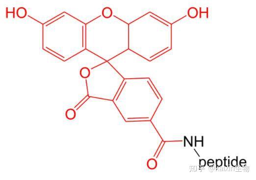 荧光标记多FITC/AMC/FAM/Rhodamine/TAMRA/Cy3/Cy5/Cy7-Peptide - 知乎