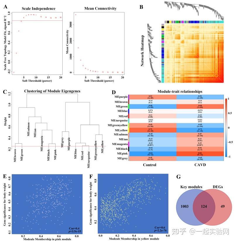 8+！基于综合生物信息学分析和机器学习筛选慢性肾病与钙化性主动脉瓣疾病相关的免疫相关分泌蛋白 - 知乎