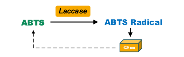 漆酶活性检测试剂盒（ABTS法） - 知乎