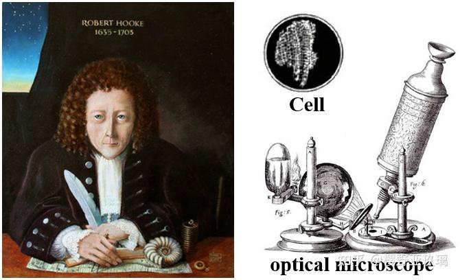 新型超分辨SRS显微镜：突破100纳米分辨率！ - 知乎