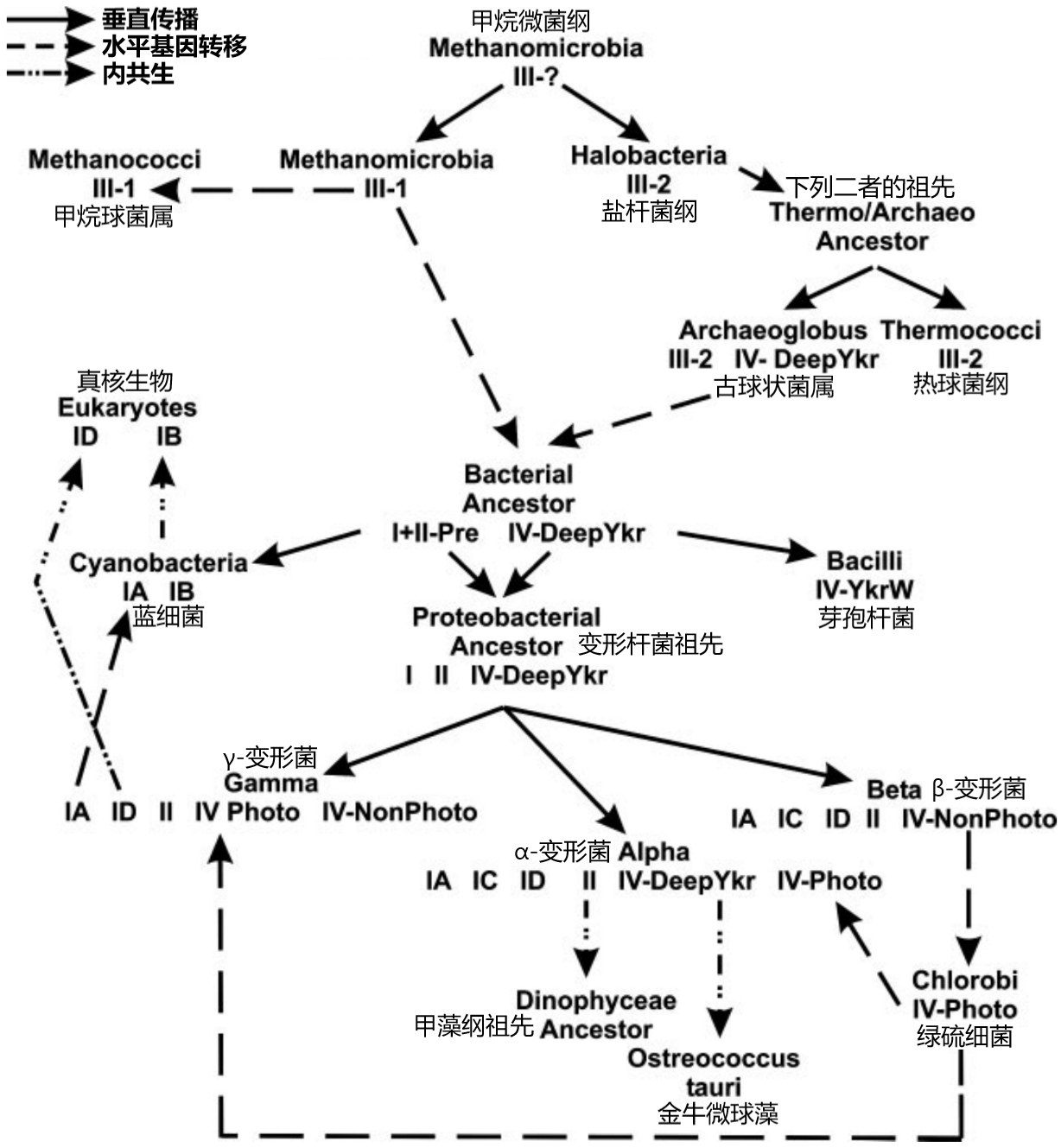 聊聊RuBisCO - 知乎