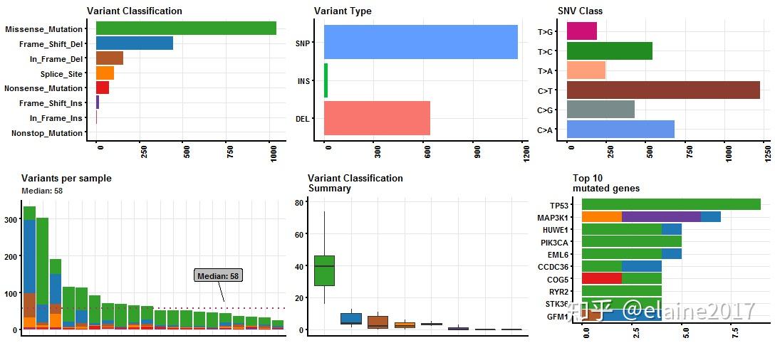 利用maftools分析annovar的注释结果 - 知乎