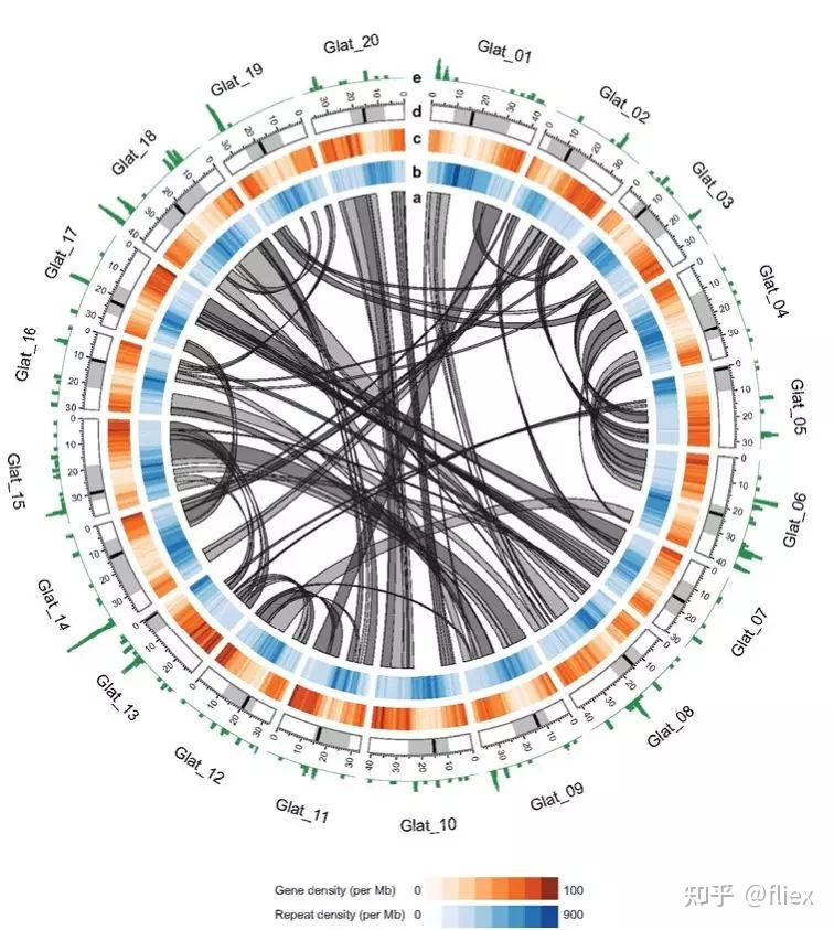 10X Genomics - 知乎