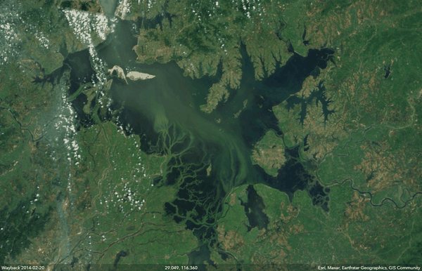 【ArcGIS教程】（134）ArcGIS中World Imagery Wayback 历史影像浏览（1） - 知乎