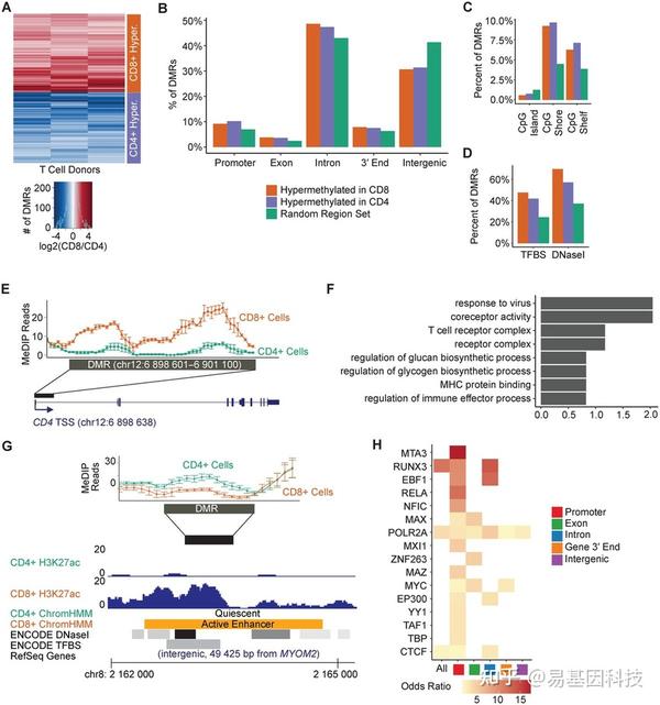 易基因｜DNA甲基化研究的测序数据挖掘思路：干货分享 - 知乎