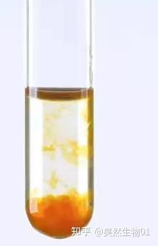 BHQ-1 AgI 黑洞猝灭剂，bhq-2 BHQ-3标记碘化银AgI - 知乎