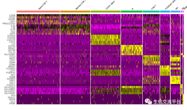 单细胞DoHeatmap画热图标签出界 - 知乎