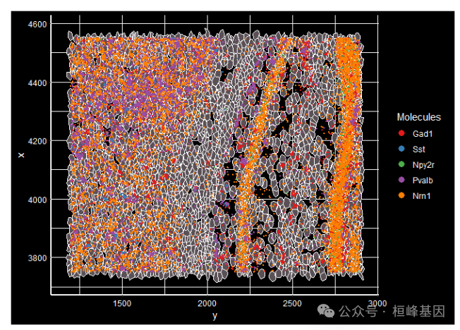 SCS 46.Seurat v5解析单细胞空转数据(Xenium) - 知乎