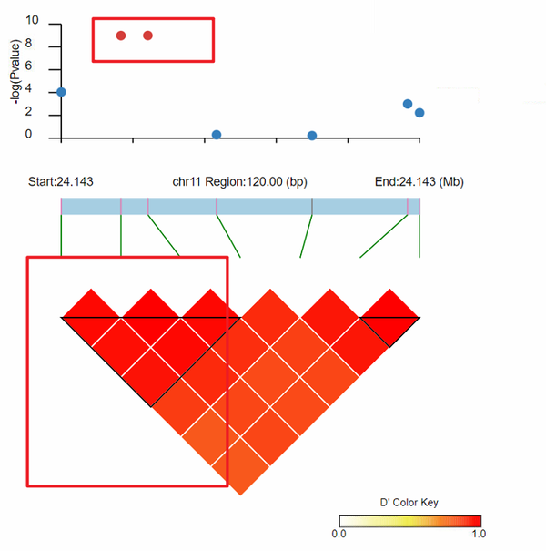 LDblock绘制连锁不平衡和单体型图 - 知乎