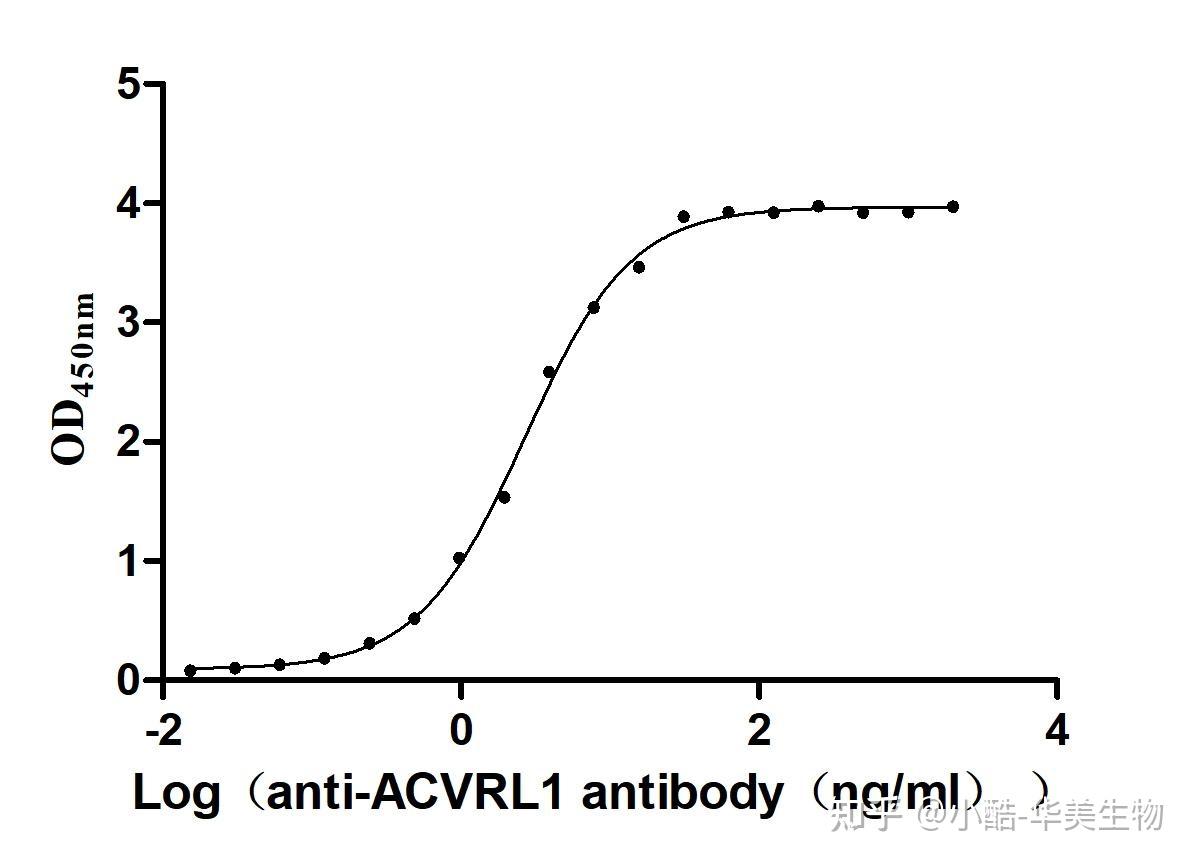 ACVRL1（Alk1）：TGF-β受体家族成员之一，全新的抗血管生成药物研究靶点！ - 知乎