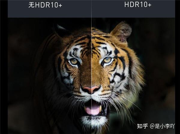 当贝投影F5评测：亮彩出众，音画双绝 - 知乎