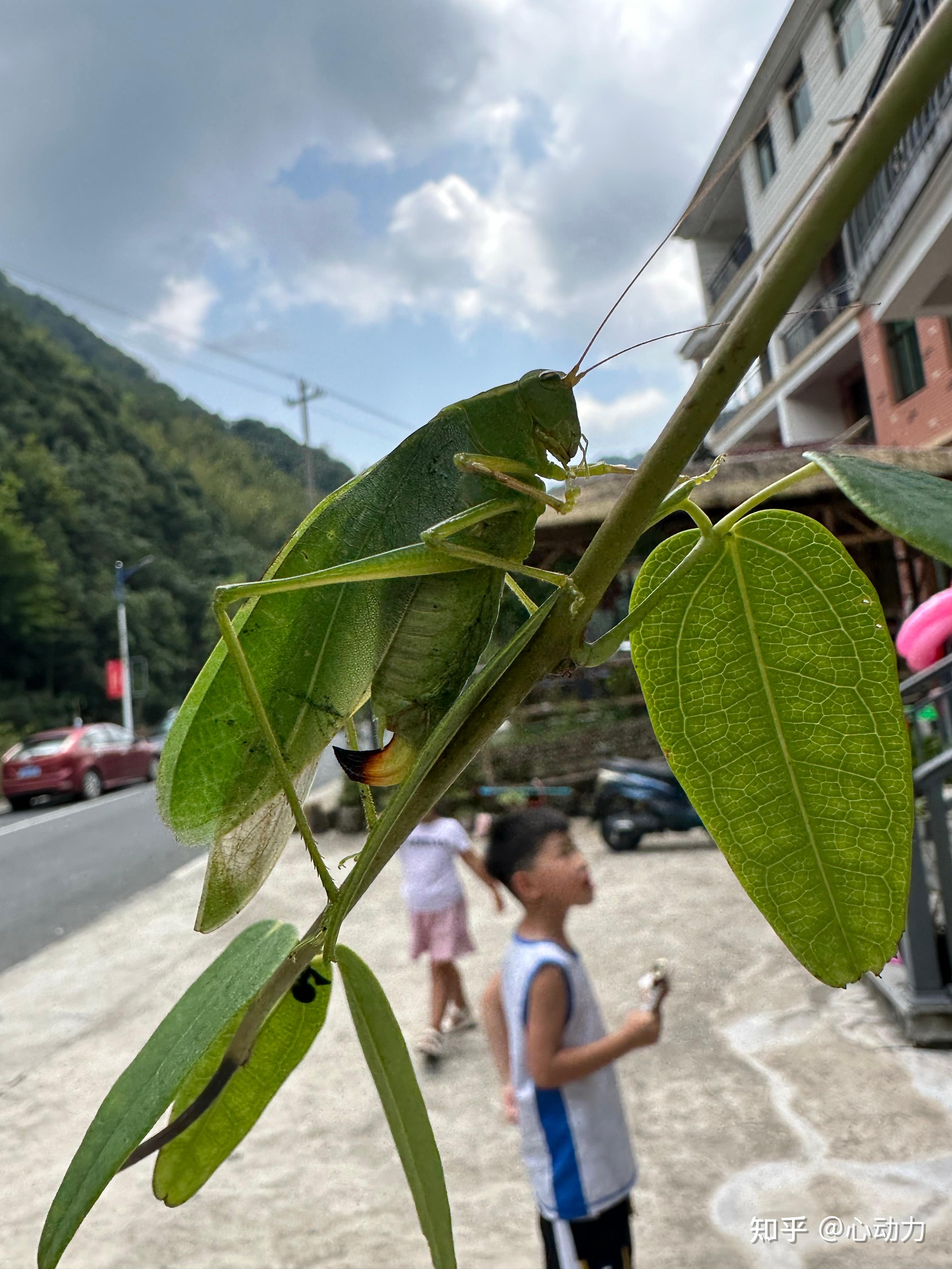 我们的情绪 知乎