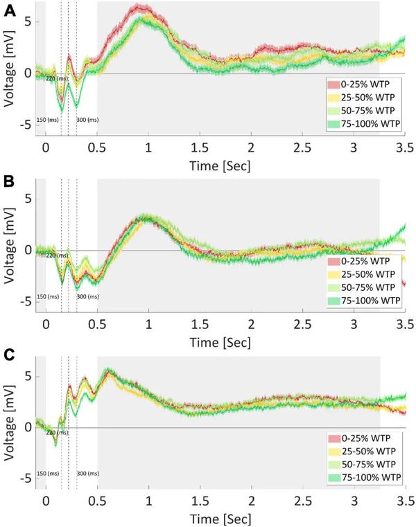 人因工程_人因心理学_生物力学_上海形宙数字技术有限公司