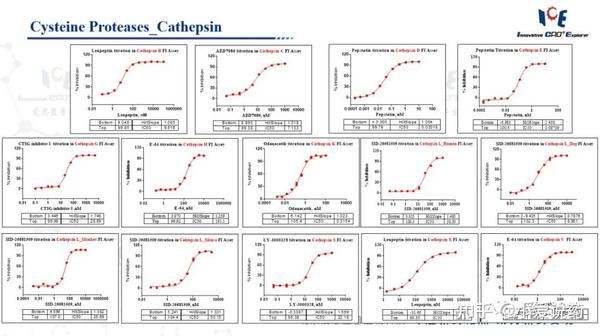Protease Enzyme Panel_酶学体系构建与筛选_爱思益普 - 知乎