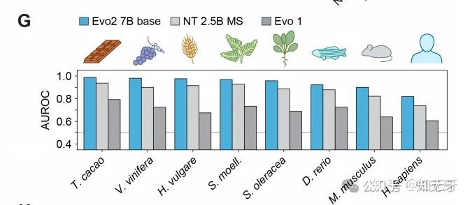 Evo2：跨生命领域的基因组“造物主”模型 - 知乎