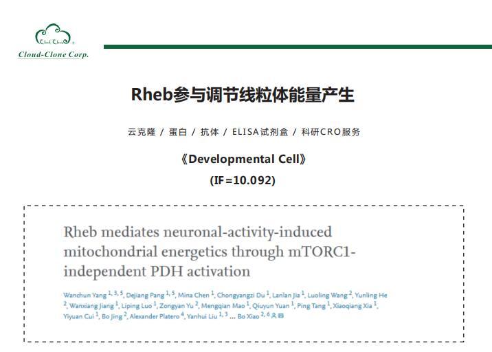 Rheb参与调节线粒体能量产生 - 知乎