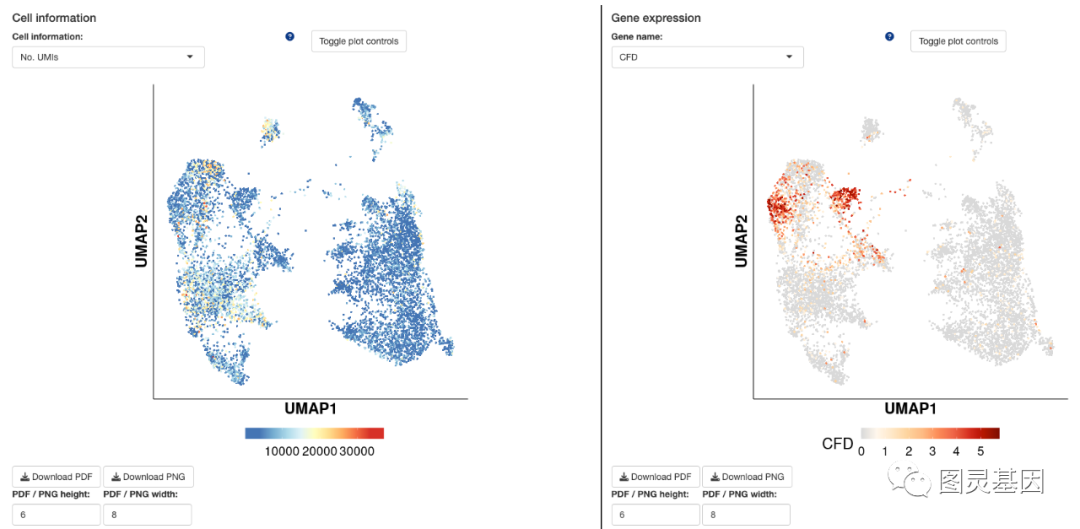 Mol Can｜山东大学冯强团队揭示癌症相关成纤维细胞和肿瘤微环境之间的串扰 - 知乎
