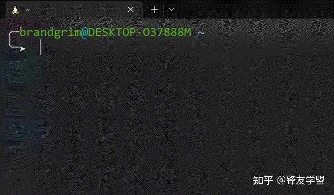 面向初学者的 Linux Shells – Bash、Zsh 和 Fish 解释 - 知乎