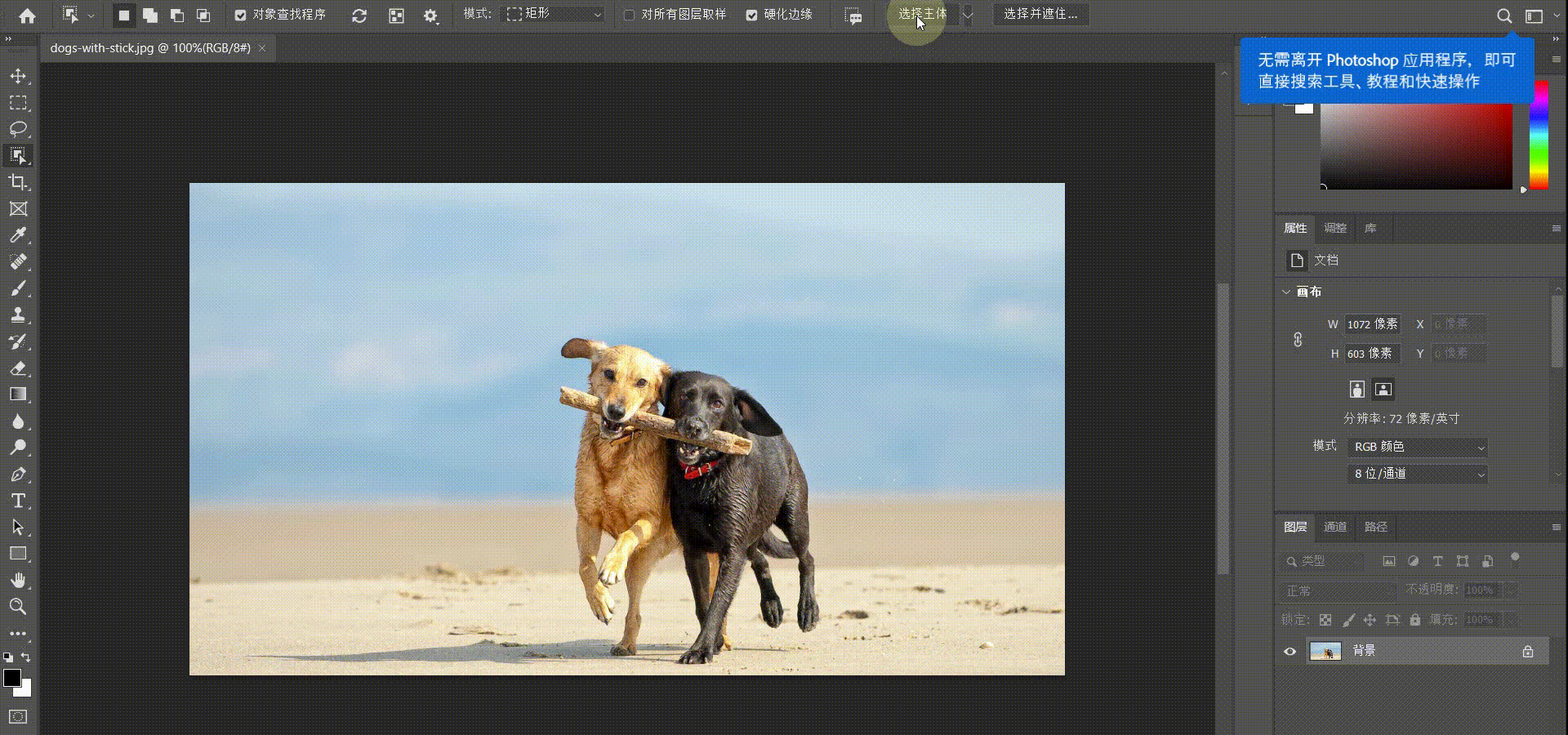 SAM（Segment Anything Model）让CV走到尽头？学CV的研究生还能正常毕业吗？怎么使用SAM？ - 知乎