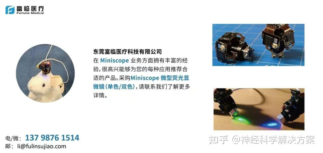 Miniscope光遗传MiniXL：一种开源的、大视场落射荧光微型显微镜用于小鼠，能够实现单细胞分辨率和多脑区成像 - 知乎