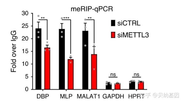 干货指南｜Direct RNA测序m6A修饰结果一本通：结果解析，数据分析挖掘，实验验证 - 知乎