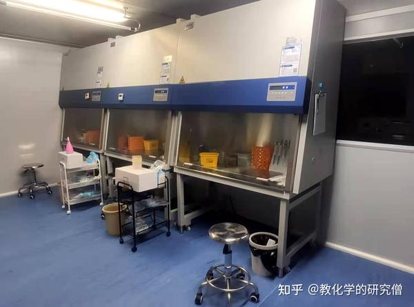 细胞房惨遭“生物侵犯”，如何清除？如何彻底的清除细胞房内的“生物圈”？ - 知乎