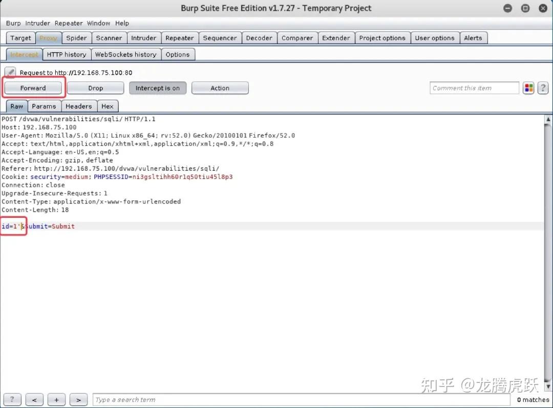 【DVWA实战篇】12分钟学会 SQL 注入攻击实战 - 知乎